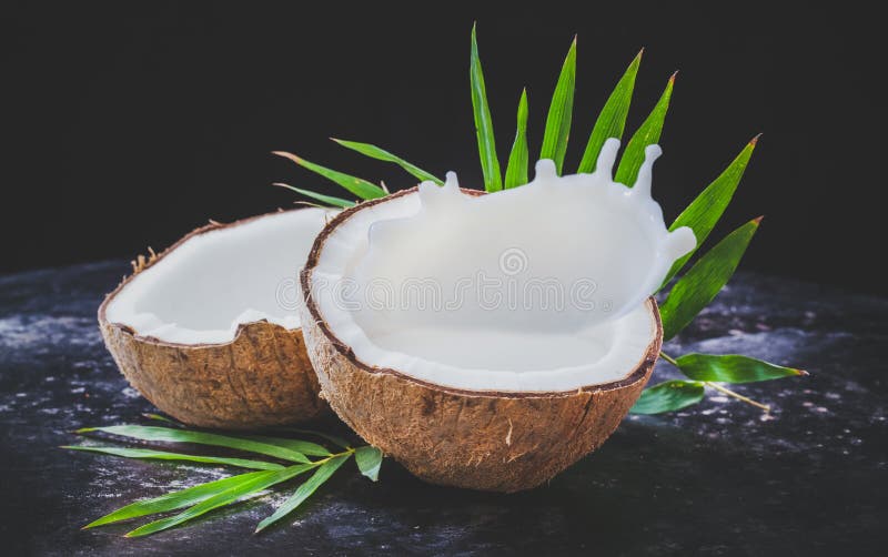 Coconut milk stock photo. Image of leaf, splash, coconut - 86648296