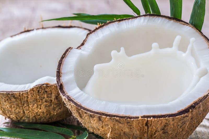 Coconut milk stock image. Image of cream, exotic, fresh - 87282413