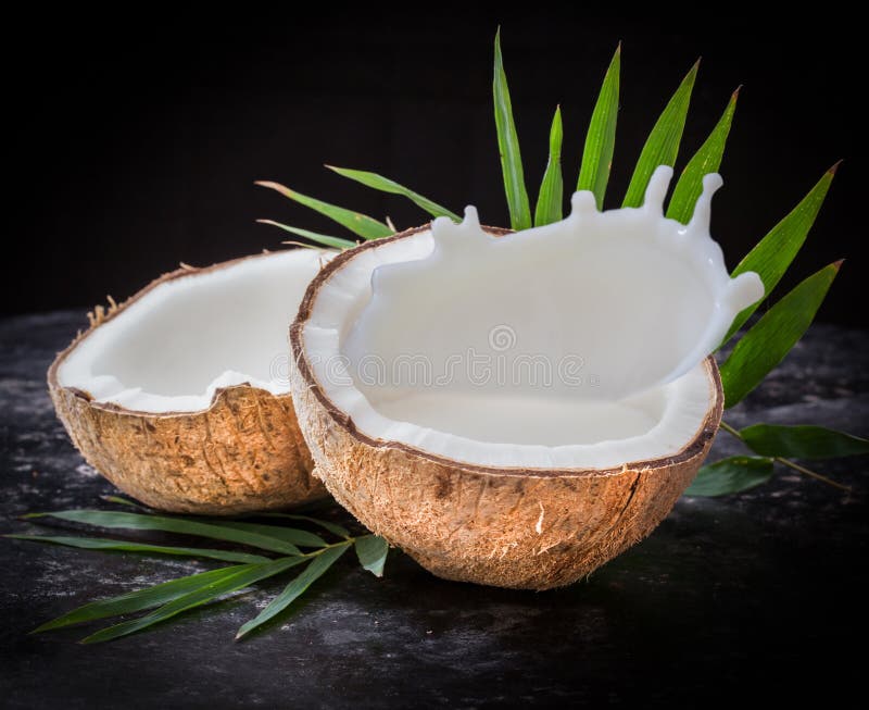 Coconut milk stock photo. Image of milk, cream, exotic - 87278364