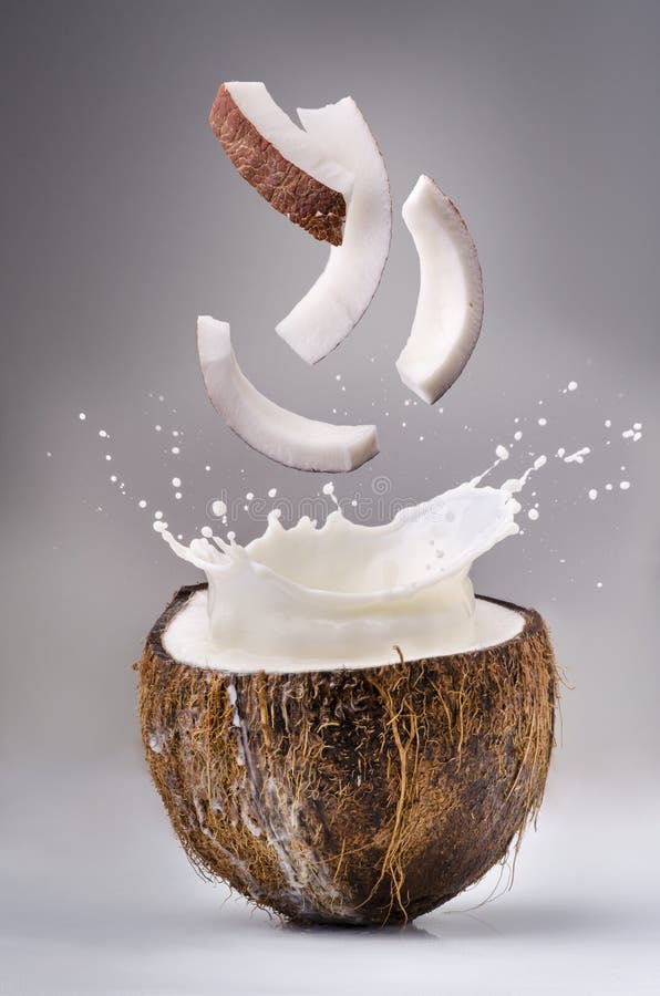 Coconut with milk splash stock photo. Image of coco - 107334378