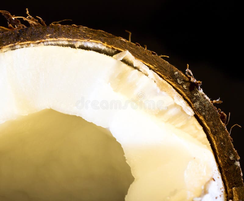 Coconut stock image. Image of fruits, coco, eating, plant - 44676419