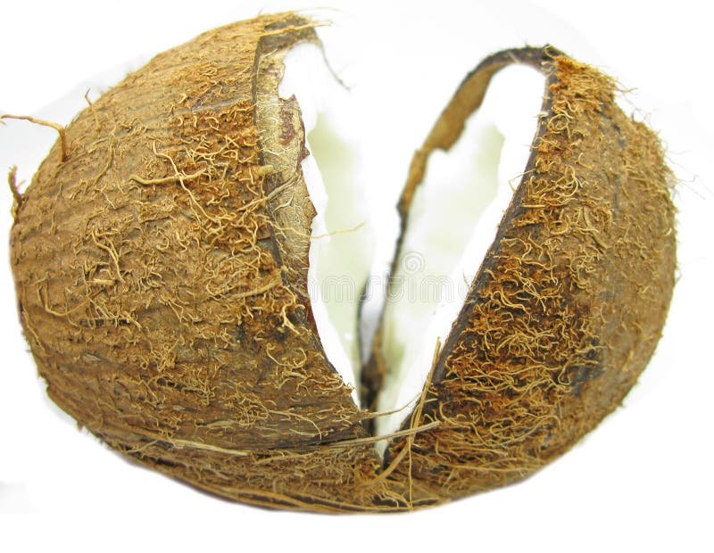 Coconut nut isolated stock photo. Image of nutshell, healthy - 23004060