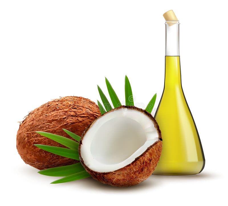 Coconut with oil. stock vector. Illustration of healthy - 43713216