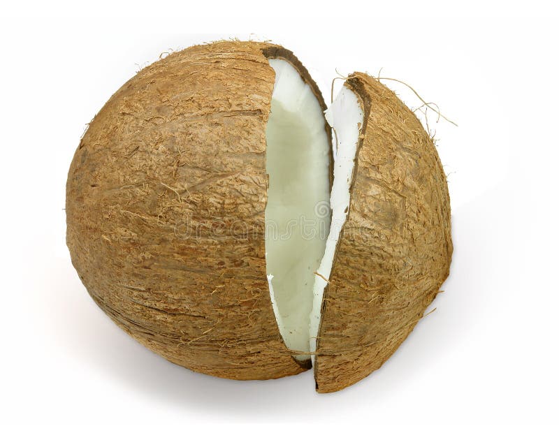 Coconut Open into Two Parts, Isolated on White Background. Stock Image ...