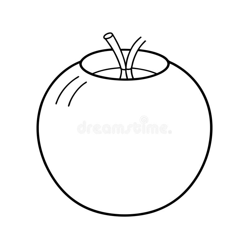 Coconut Outline Vector Graphics for Commercial Use Stock Vector ... Coconut Outline Vector Graphics for Commercial Use Stock Vector ...