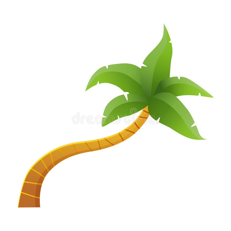 Coconut Palm Tree with Curve of Trunk and Leaves on Branches Stock ...