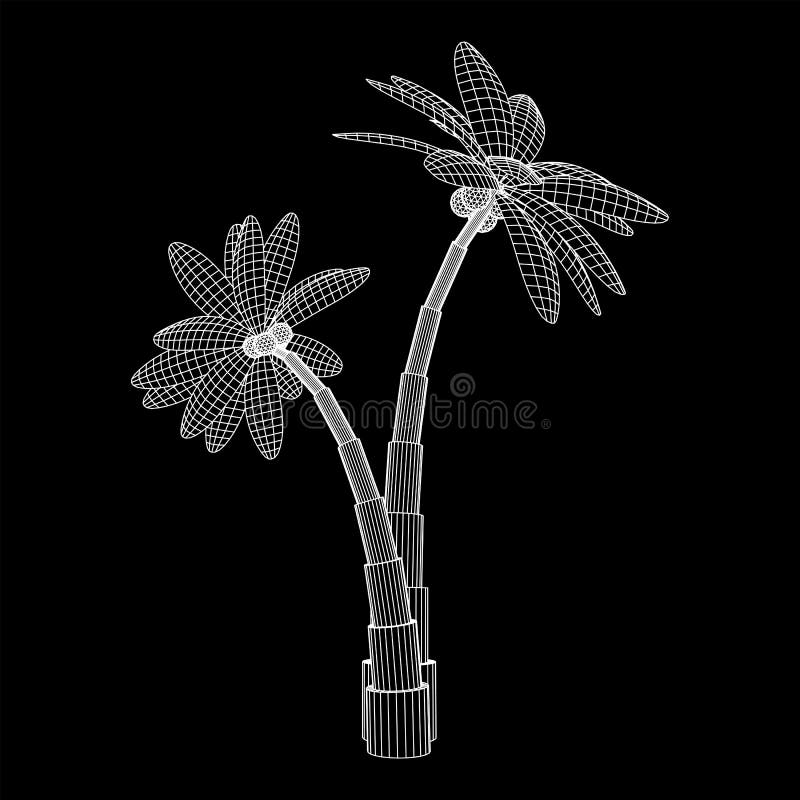 Coconut Palm Tree with Leaves Stock Vector - Illustration of poly ...