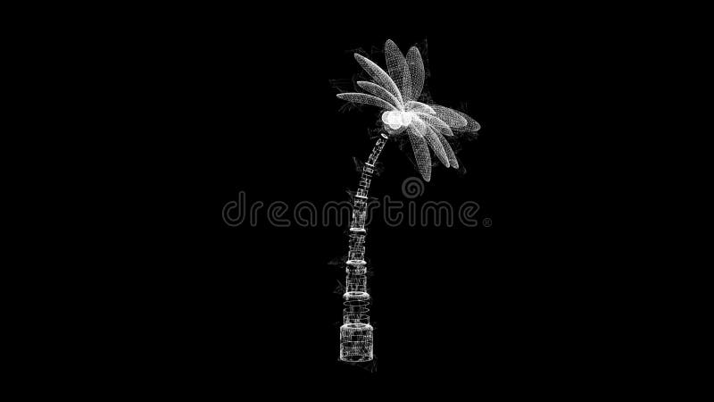 Coconut Palm Tree with Leaves. Wireframe Low Poly Mesh Technology Stock ...