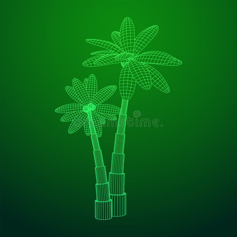 Coconut Palm Tree with Leaves Stock Vector - Illustration of bark ...