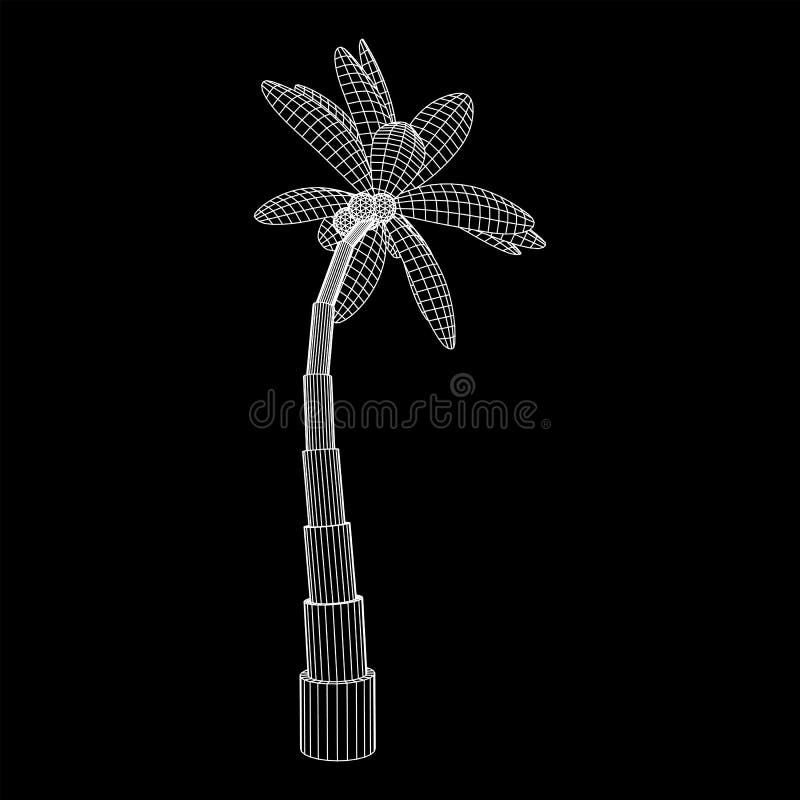 Coconut Palm Tree with Leaves Stock Vector - Illustration of flora ...