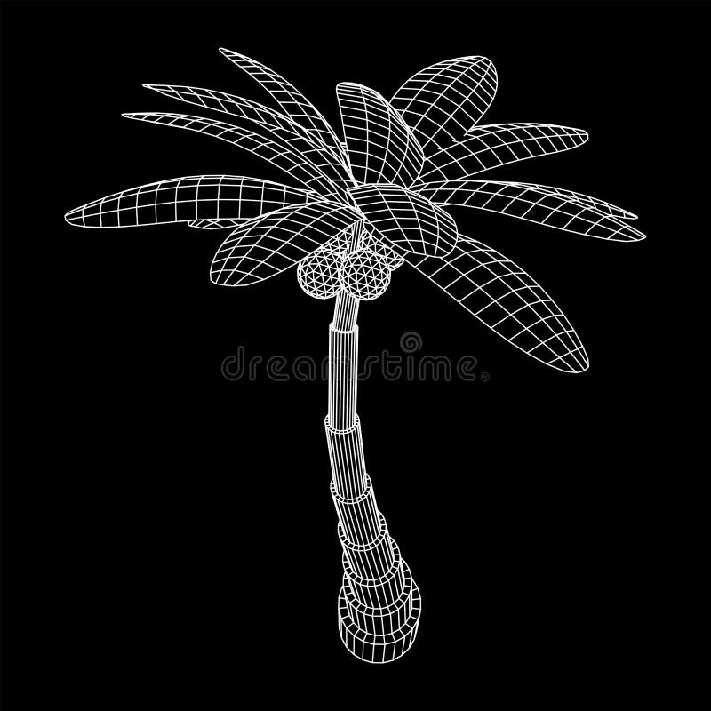 Coconut Palm Tree with Leaves Stock Vector - Illustration of polygon ...