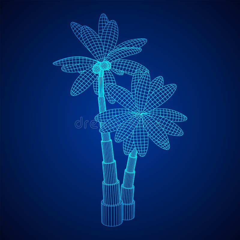Wireframe Palm Stock Illustrations – 1,647 Wireframe Palm Stock ...
