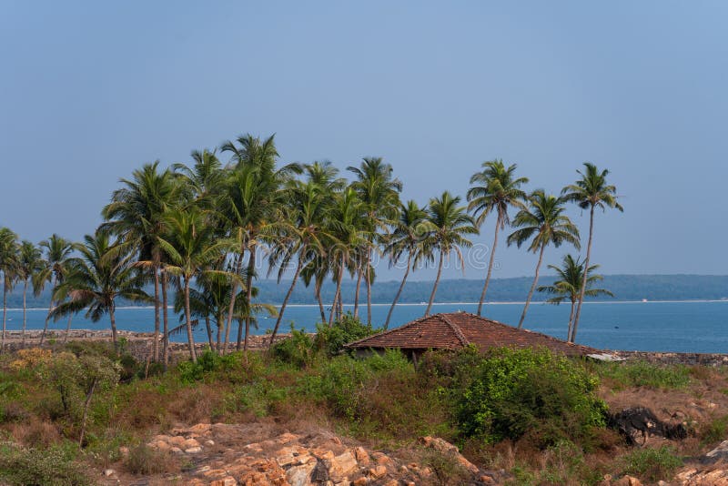 Coconut Palm Tree and Old Red Hut in Tropical Island Stock Image ...