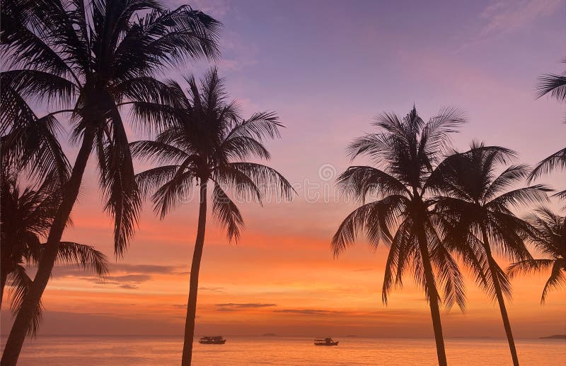 Coconut Palm Tree Silhouettes on the Sunset Tropical Sea Beach Stock ...