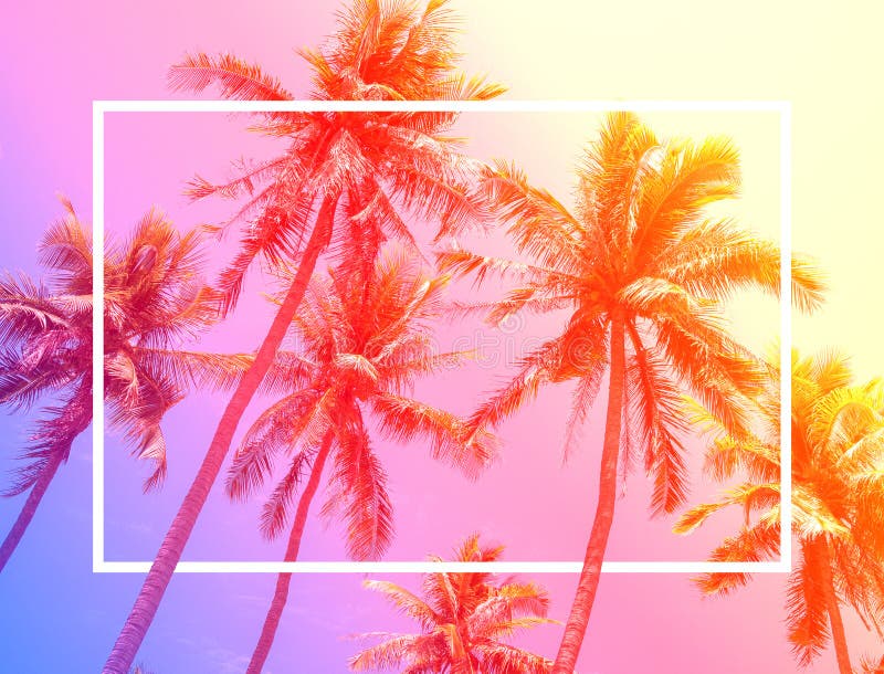 psychedelic palm trees