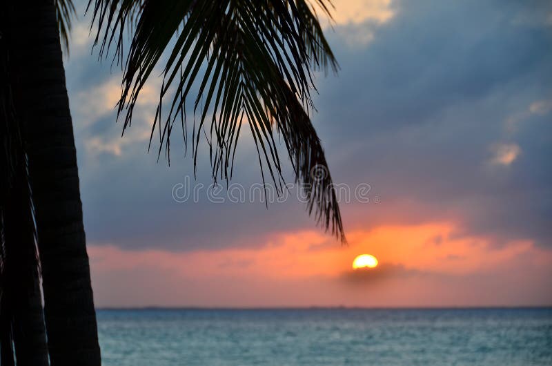 Golden Sunset in Anilao Philippine Landscape Stock Image - Image of ...