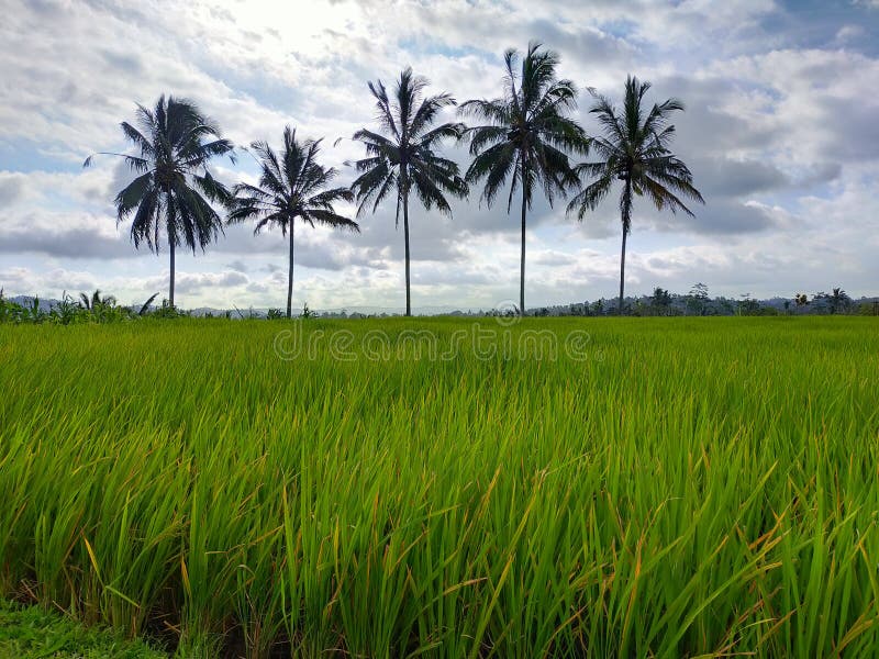 Pandavas Greeting Stock Photos - Free & Royalty-Free Stock Photos from ...