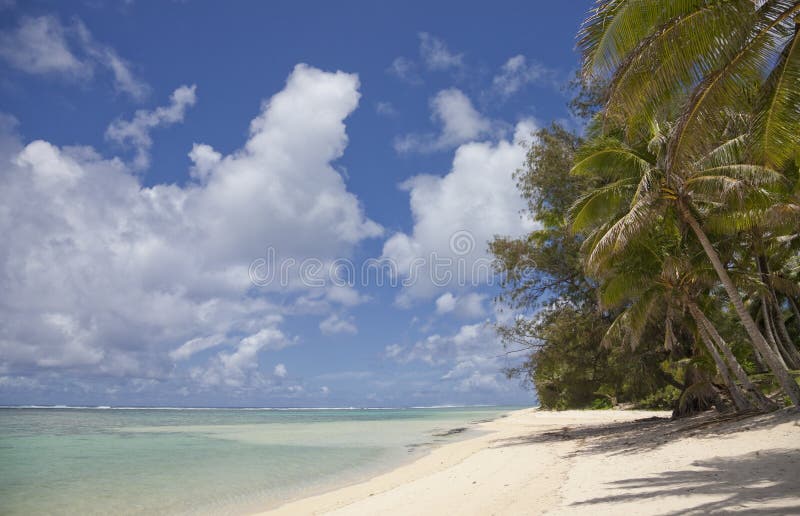 Caribbean View stock image. Image of coconut, ocean, tropical - 3827119