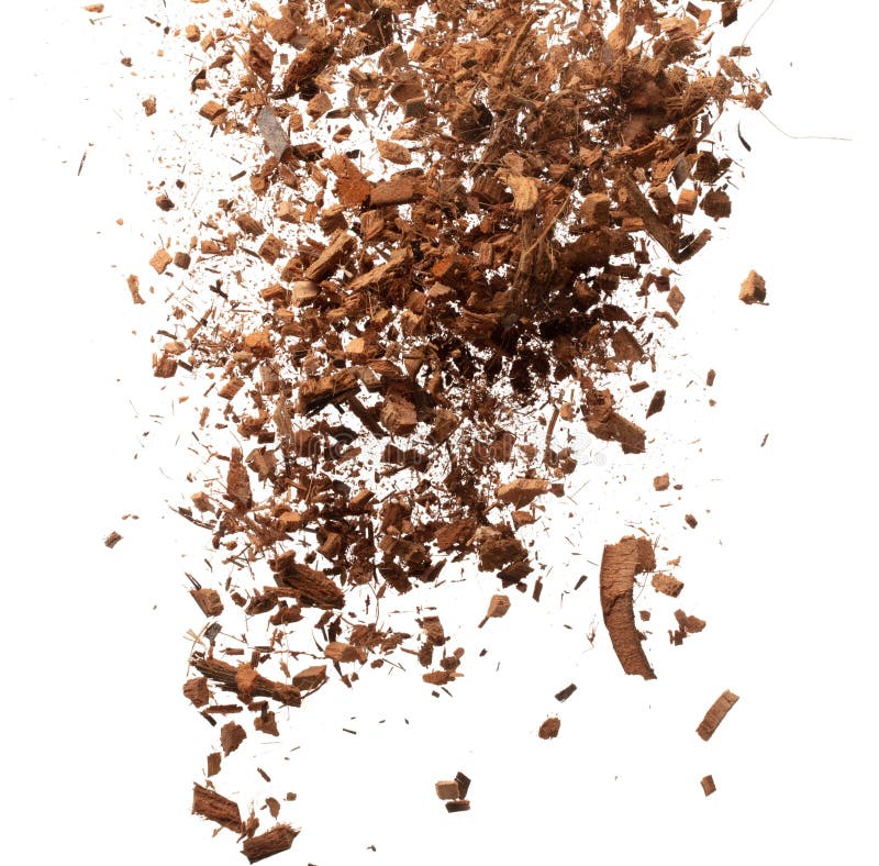 Coconut Peel Husk Flying Explosion, Coconut Chopped Medium M Size ...