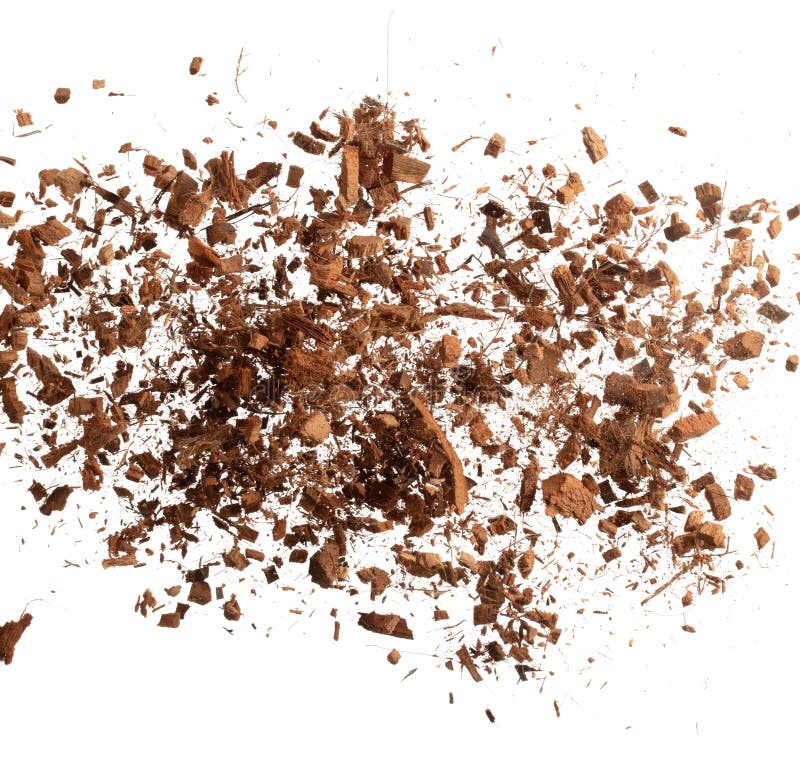Coconut Peel Husk Flying Explosion, Coconut Chopped Medium M Size ...
