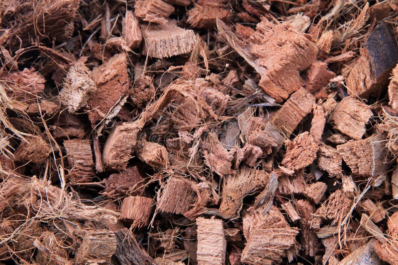 Coconut peel stock photo. Image of coconut, natural - 102141146