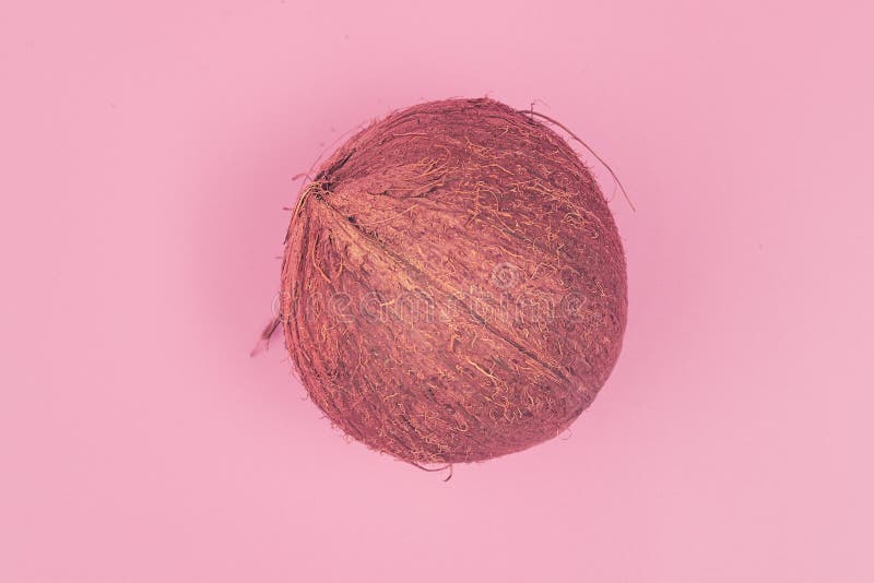 Coconut on a Pink Background Isolate, Copyspace, Layout Stock Image ...