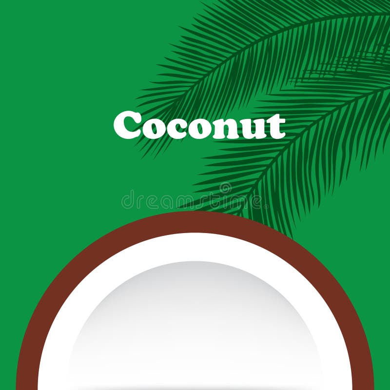 Coconut Poster Design Template, Vector Realistic Illustration Stock ...