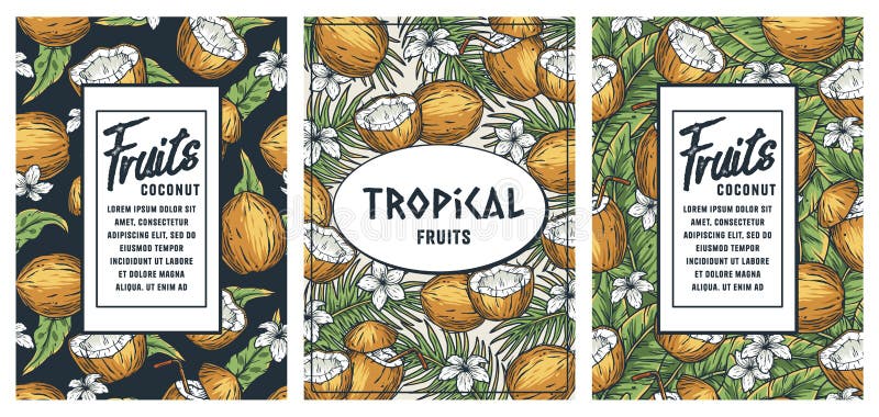 Coconut Poster. Summer Exoic Fruit and Nuts Design Stock Vector ...