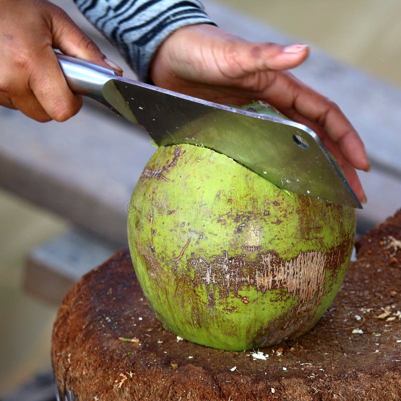 Coconut Preparation: Cutting Stock Image - Image of coconut, drink ...