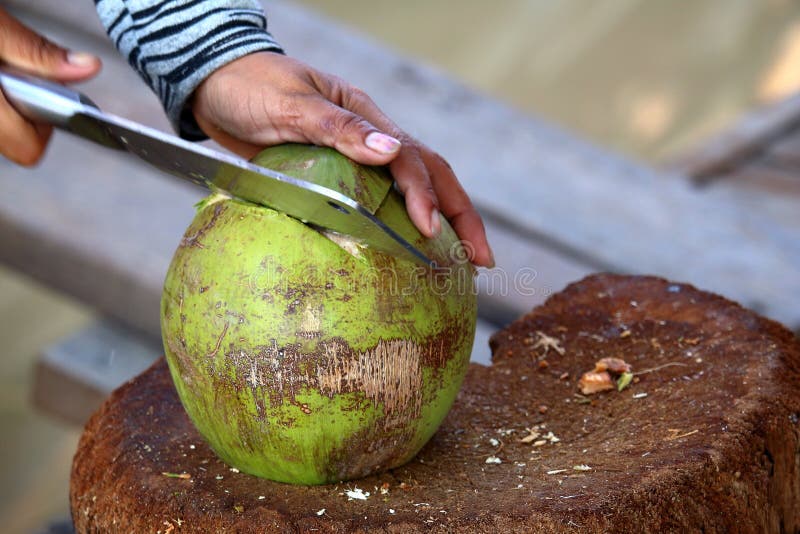 Coconut Preparation: Cutting Stock Image - Image of exotic, drink: 85839557