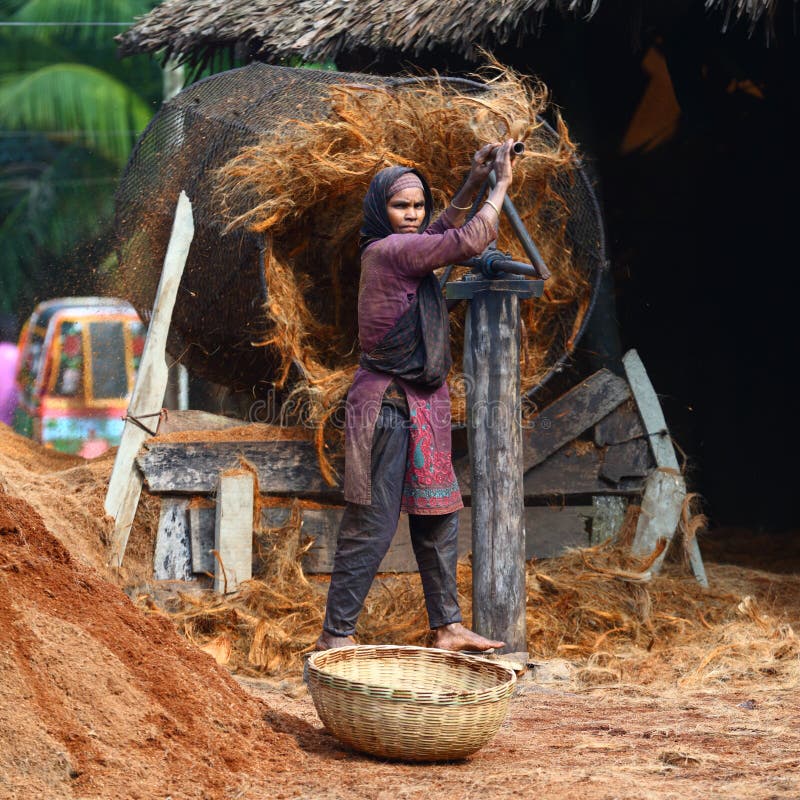 145 Coconut Processing Industry Stock Photos - Free & Royalty-Free ...