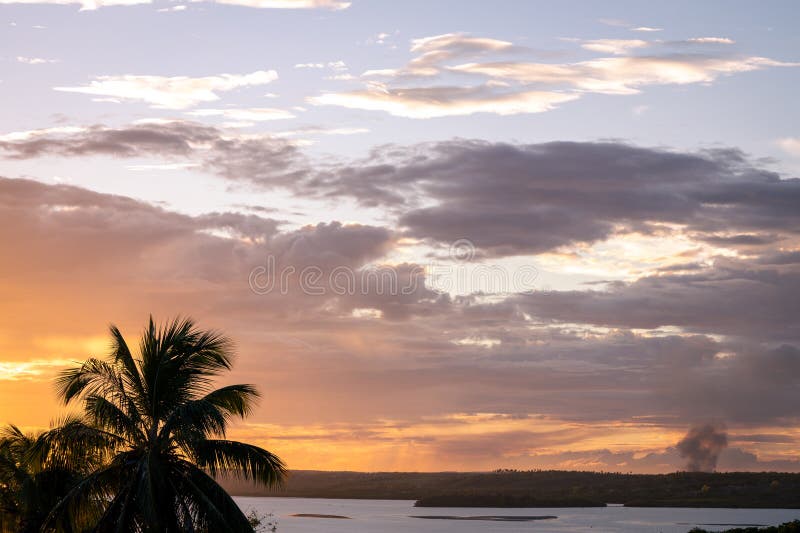 Coconut-producing Trees Draw Their Silhouette in Front of the Sun Stock ...