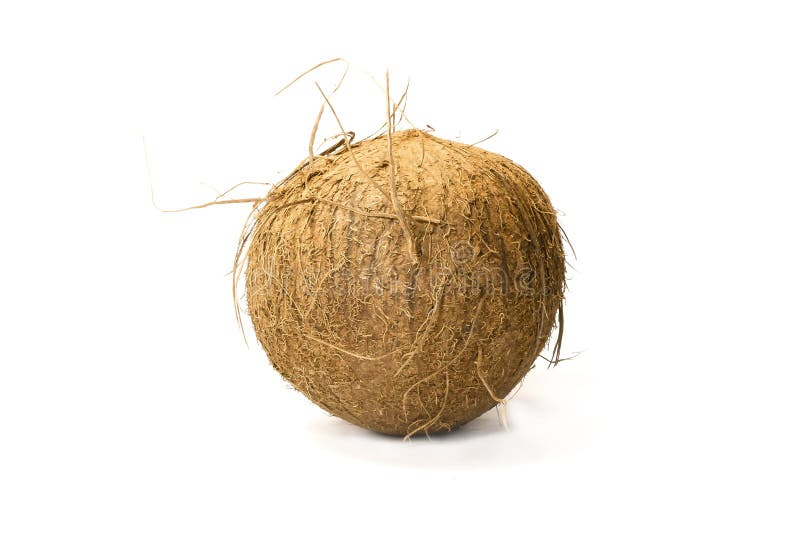 Coconut stock image. Image of real, nutrition, nature - 94098325