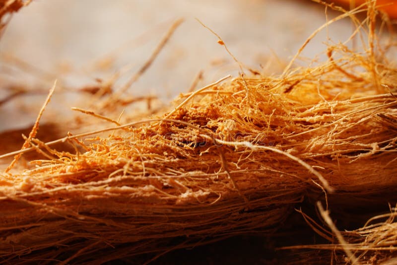 16coconut Stock Photos - Free & Royalty-Free Stock Photos from Dreamstime