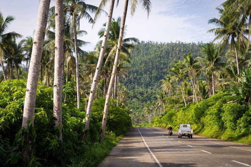 Coconut Road in Siargao, Philippines - a Scenic Pathway Lined with ...