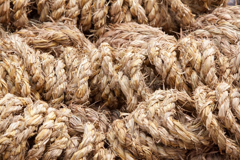 Coconut Rope Binding of Three Pieces on a Blue Background is Horizontal ...