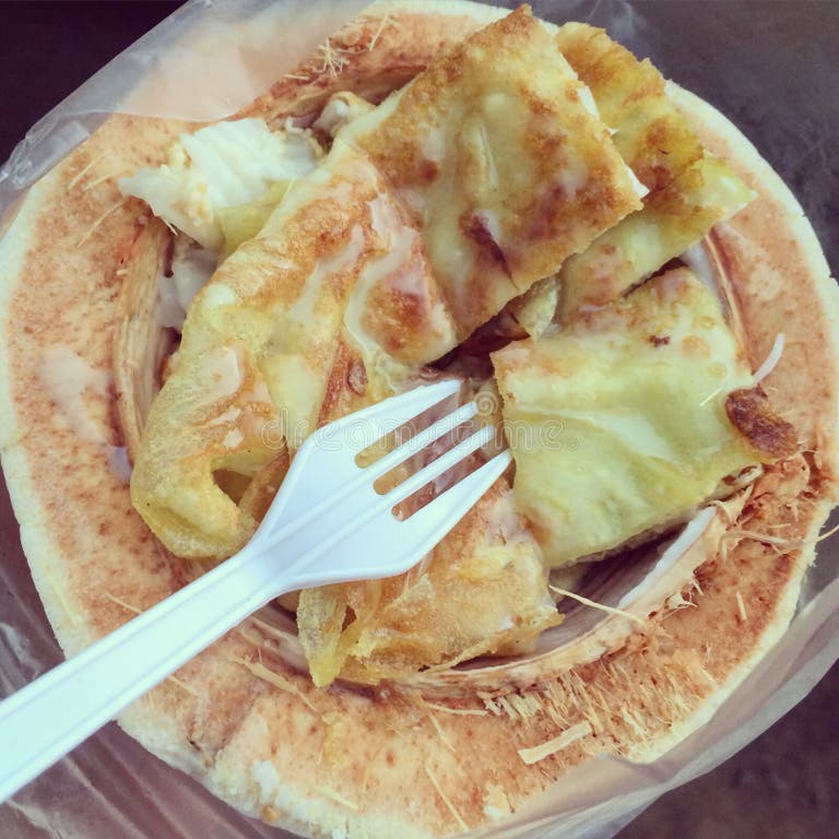 Coconut roti stock photo. Image of fruit, cook, asia - 61015628