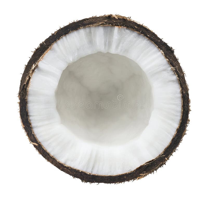 Coconut Round Half Front 2 Isolated on White Background Stock Photo ...