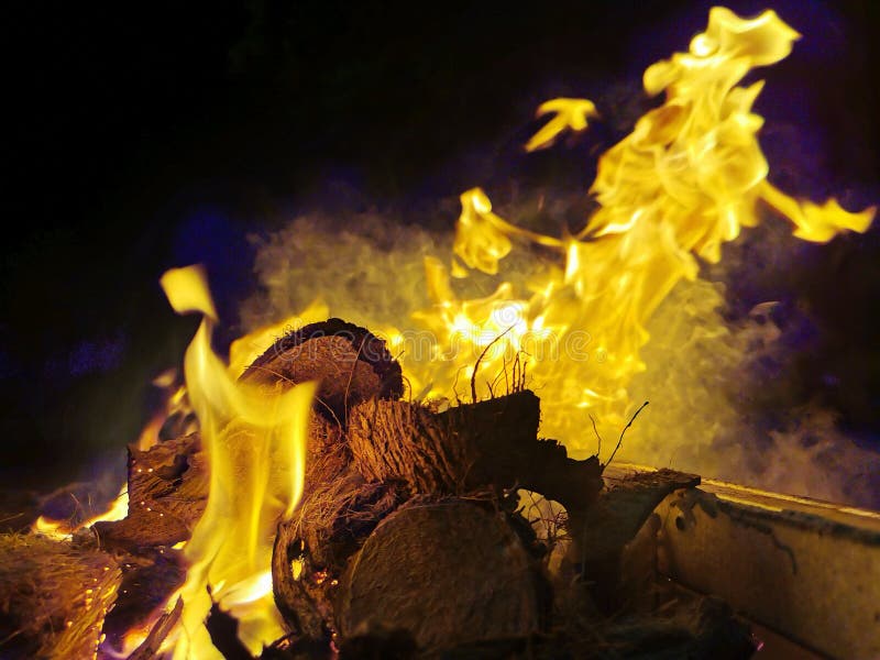 Coconut scale on fire stock photo. Image of fire, scale - 206309066