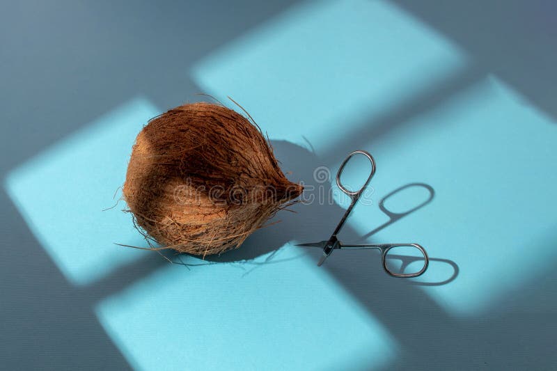 Coconut and Scissors on a Blue Background in the Sunlight. Creative ...