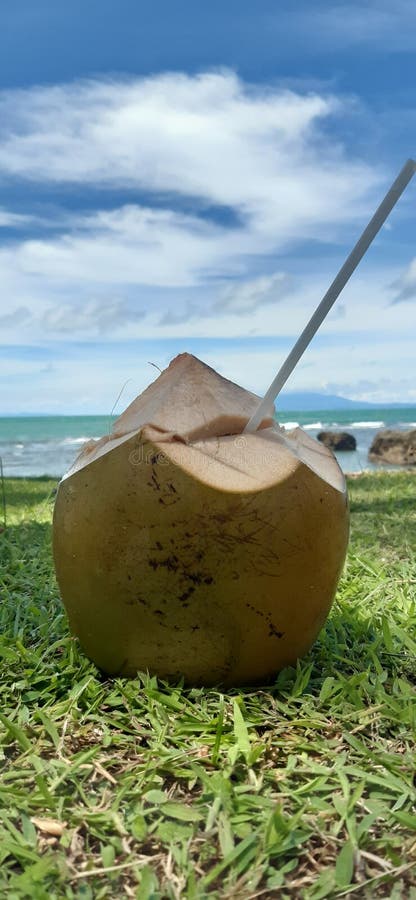 Coconut sea of java stock image. Image of beatifull - 263257447