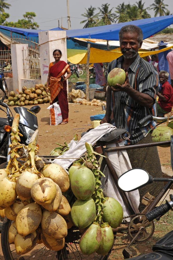 Tender Coconut Vendor in India Editorial Stock Image - Image of ...
