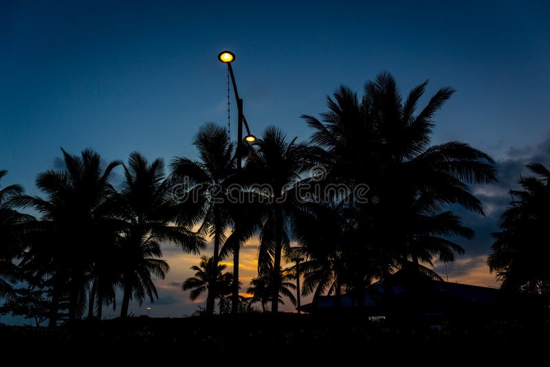 Coconut Shade Sunset Light with Light on. Fe Feeling Sad Stock Photo ...