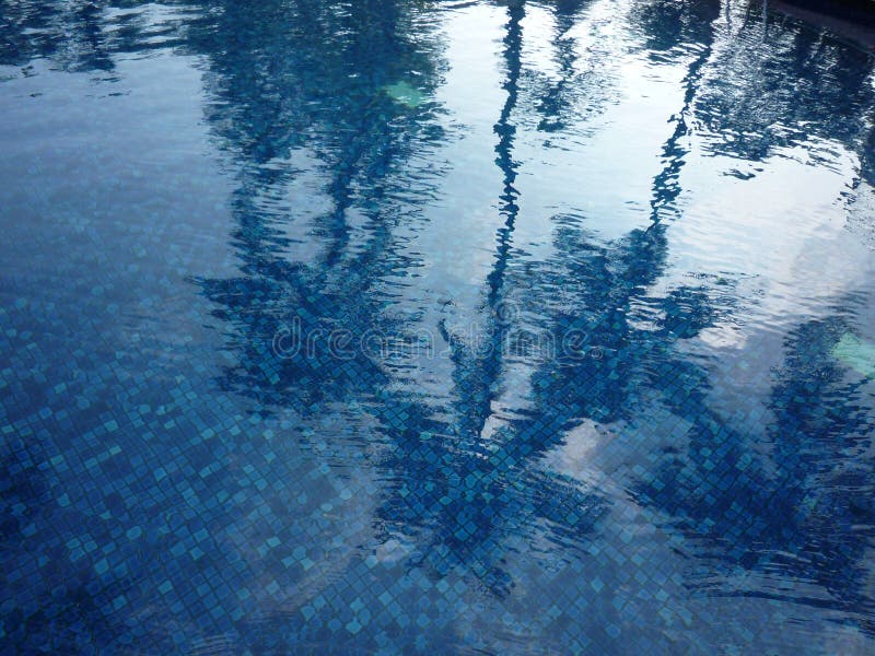 Coconut Shadow on Pool Water Stock Image - Image of clear, sunlight ...