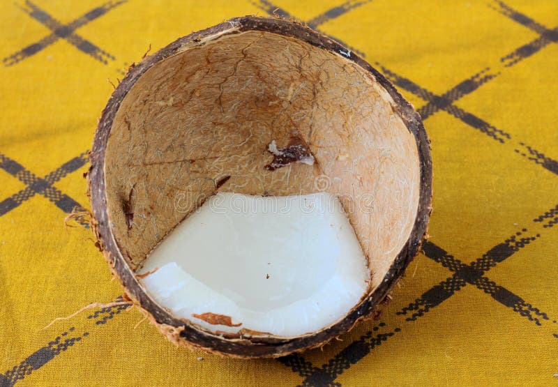 Coconut in shell stock image. Image of diet, food, broken - 25476941