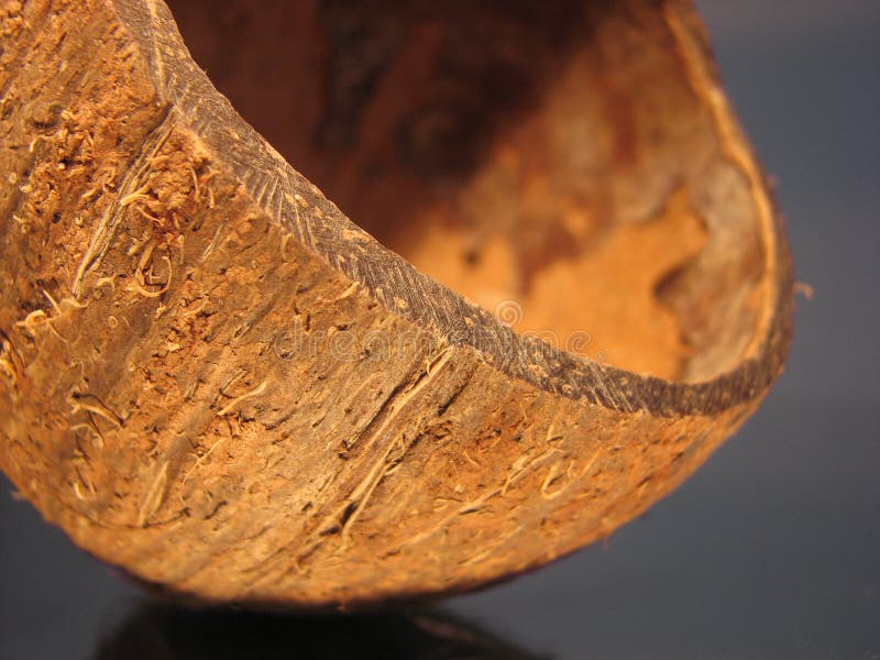 Coconut shell stock photo. Image of wooden, nature, husk - 3140854