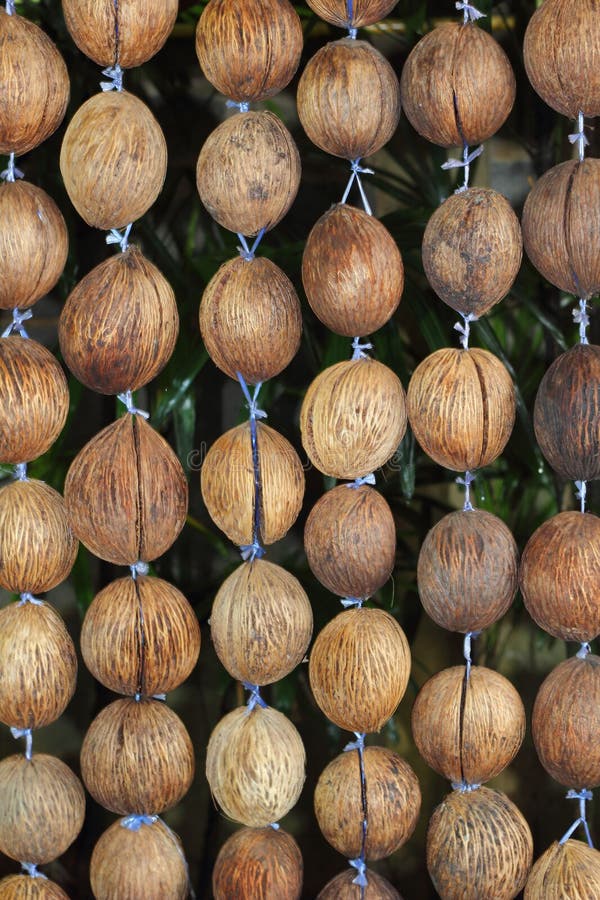 Coconut shell. stock photo. Image of shell, coco, wood - 32028668