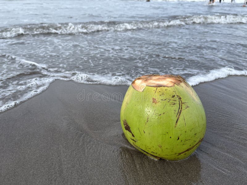 Coconut Shell Being Dumped on the Beach Stock Photo - Image of ...