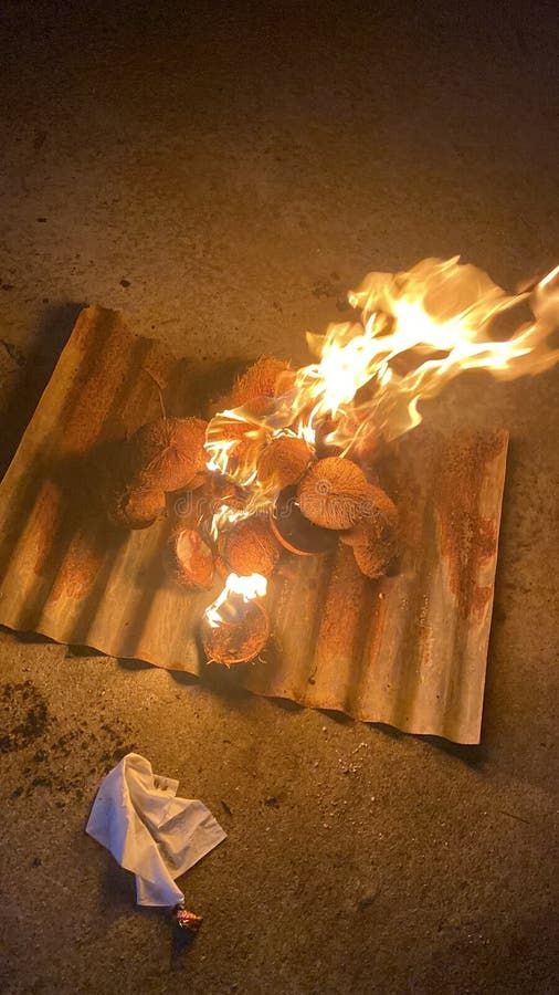 485 Fire Coconut Shell Stock Photos - Free & Royalty-Free Stock Photos ...