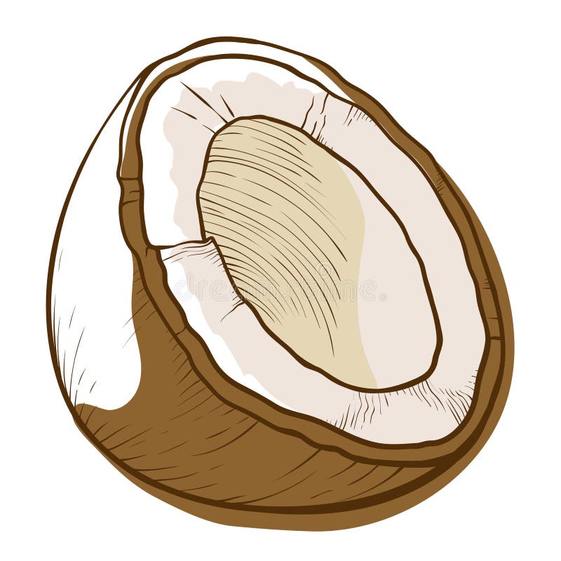 Palm Nut Stock Illustrations – 3,469 Palm Nut Stock Illustrations ...